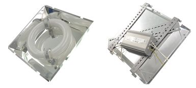 Induction Retrofit Lamp